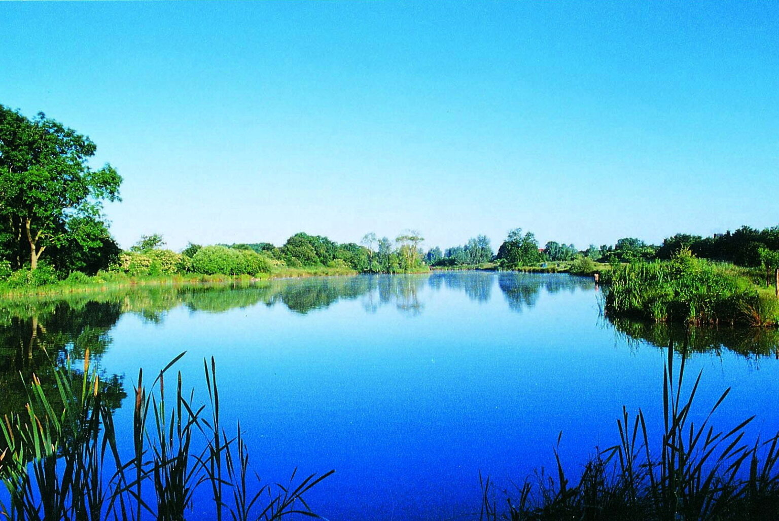 Photos - Newland Hall Fishery - Carp Fishing Lakes Essex